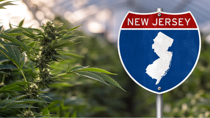 New Jersey Cannabis Market Overview: Insights for Cannabis Businesses in 2024 | CJBS Accounting ...